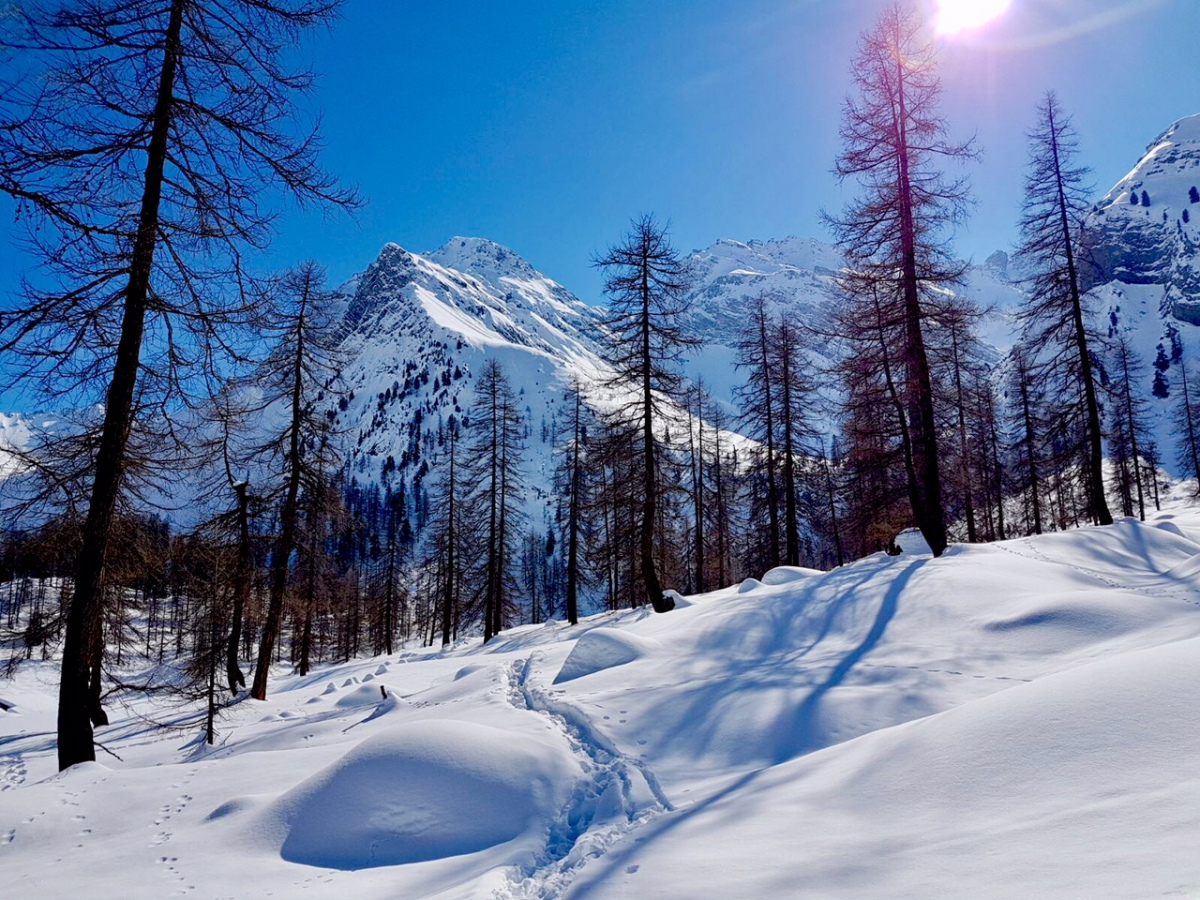 The Sertig waterfall is an insider’s tip for ice climbing & snowshoeing ...