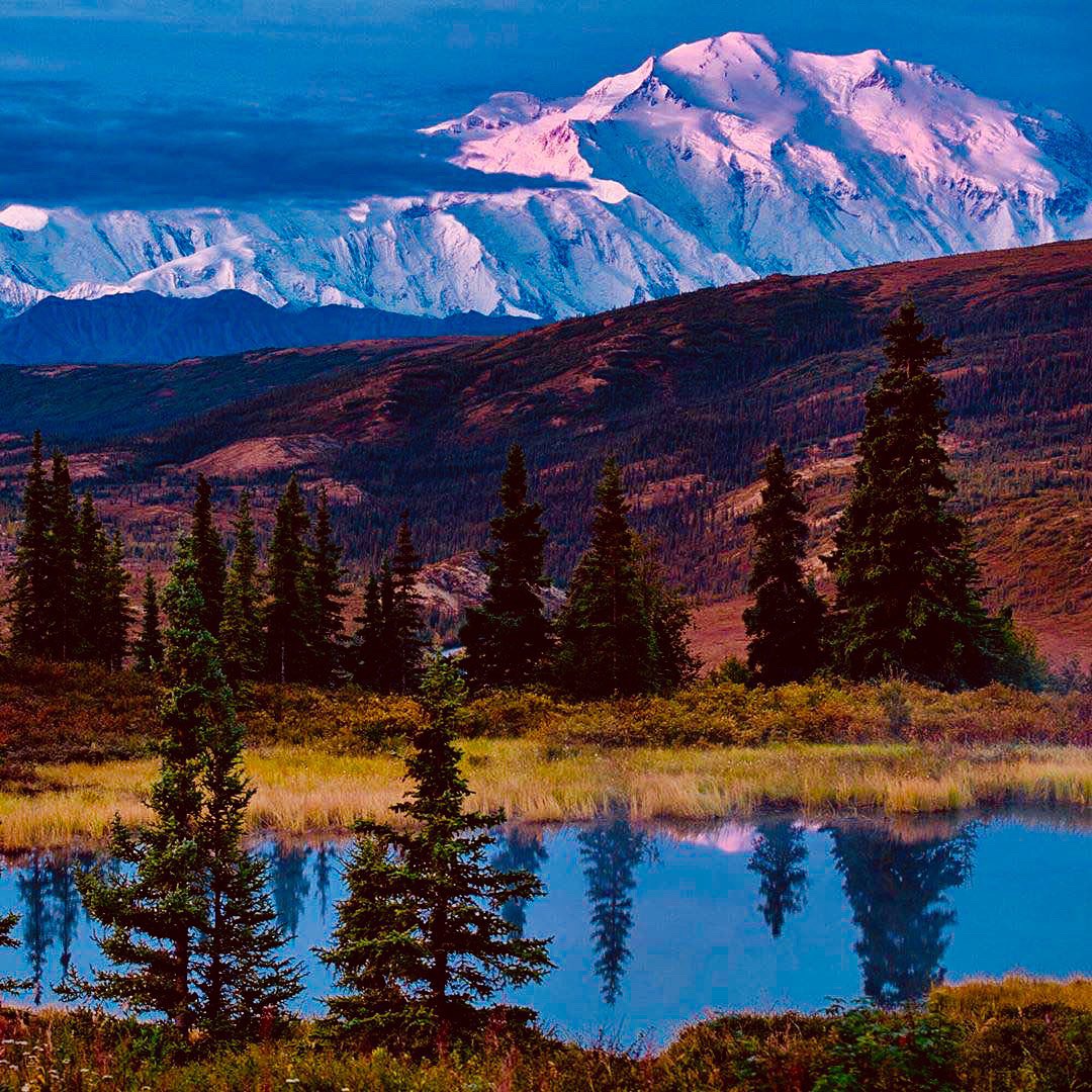 Alaska Highlights: Denali, Mountain Biking, Heli Fat Biking & more