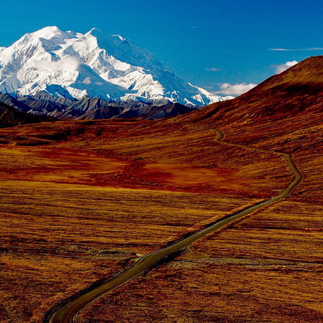 Alaska Highlights: Denali, Mountain Biking, Heli Fat Biking & more